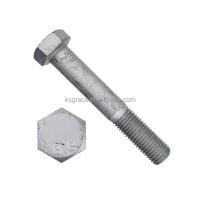 China HDG Bolts And Nuts Hot Dip Galvanized Hex Bolt for sale