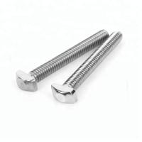 China Polish Finish Track T Head Bolts A2-70 Stainless Steel T Bolts T Nut Bolts for sale