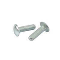China Din603 Blue White Zinc Square Head Lag Bolts Mushroom Head Decorative Carriage Bolts Coach Bolt for sale
