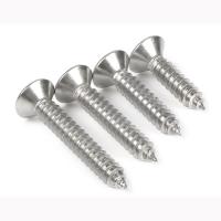 China SUS304 SUS316 Cross Recessed Countersunk Head Screw GB846 Countersunk Head Tapping Screws for sale
