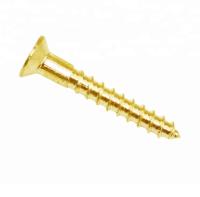China Brass Wood Screw Brass Slotted Head Wood Screw Brass Torx Flat Head Wood Screws for sale