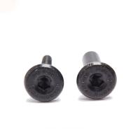 China Black Plated Chicago Screw Binding Post Screw Male And Female Screw for sale