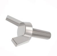 China Custom All Sizes Thrumb Butterfly Wing Head Screw Steel Wing Screws With Round Nose for sale