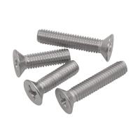 China Din 965 Stainless Steel 316 Cross Flat Head Screw Fastener for sale