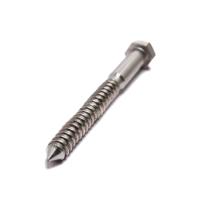 China Din571 Hexagon Head Wood Screws Stainless Steel Coach Screws for sale