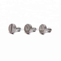 China Stainless Steel Camera Hidden Mounting Screw Camera Fixing Screw Plain Finish for sale