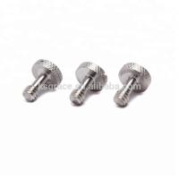 China Stainless Steel Camera Hidden Mounting Screw Camera Fixing Screw Plain Finish for sale
