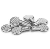 China ROHS SGS Stainless Steel Spade Head Thumb Screw OEM ODM for sale