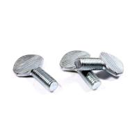 China ROHS SGS Stainless Steel Spade Head Thumb Screw OEM ODM for sale