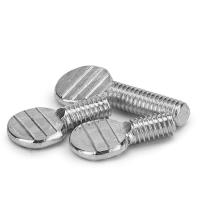 China ROHS SGS Stainless Steel Spade Head Thumb Screw OEM ODM for sale