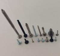 China Self Drilling Screws Self Tapping Screw Wood Screw for sale
