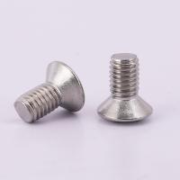 China M1.6 M2 M2.5 SS304 Cross Recessed Screws Raised Countersunk Head Screw DIN966 for sale