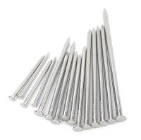 China China Factory Price Stainless Steel Flat Head Common Nails Iron Large Iron Spike Wire Steel Nails for sale