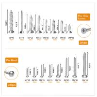 China M3 4 5 6 Self Tapping Screws Assortment Kit Pan Head and Flat Head 304 Stainless Steel Screws for sale