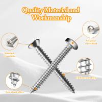 China M3 4 5 6 Self Tapping Screws Assortment Kit Pan Head and Flat Head 304 Stainless Steel Screws for sale