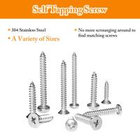 China M3 4 5 6 Self Tapping Screws Assortment Kit Pan Head and Flat Head 304 Stainless Steel Screws for sale