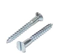 China Slotted Raised Countersunk Oval Head Wood Screws BS1210 DIN95 Customized for sale
