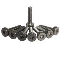 China ISO14580 GB2671.1 SS304 Hexagon Socket Bolt Torx Cheese Head Screws for sale
