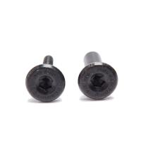 China Custom Countersunk Head Sex Bolt Binding Post Rivet Stainless Steel Male And Female Screw Chicago Screws For Leather for sale