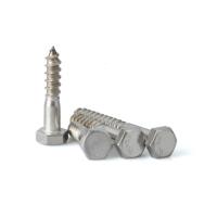 China DIN 571 M2 M4 M8 Hex Head Screws For Wood , Self Drilling Wooden Bed Screws for sale