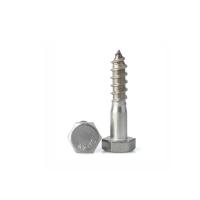 China DIN 571 M2 M4 M8 Hex Head Screws For Wood , Self Drilling Wooden Bed Screws for sale