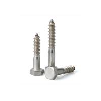 China DIN 571 M2 M4 M8 Hex Head Screws For Wood , Self Drilling Wooden Bed Screws for sale
