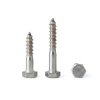 China DIN 571 M2 M4 M8 Hex Head Screws For Wood , Self Drilling Wooden Bed Screws for sale