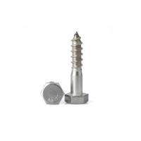 China DIN 571 M2 M4 M8 Hex Head Screws ROHS CE Self Tapping Screws for sale