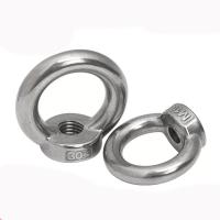 China DIN582 Stainless Steel Lifting Eye Nut DIN 582 Lifting Eye Nuts for sale