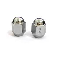 China Universal 19mm 21mm Hubs Lugs Chrome Nut For Wheel Nut Cover for sale