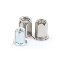 China Flat Head Open End Hex Rivet Nut Blind Riveting Round Head Full Hex Rivet Nuts for sale