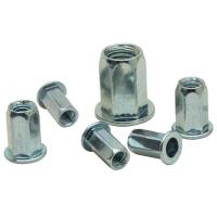 China Flat Head Open End Hex Rivet Nut Blind Riveting Round Head Full Hex Rivet Nuts for sale