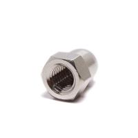 China DIN1587 Closed End Acorn Hexagon Nuts Hex Domed Cap Nut Acorn Nuts for sale