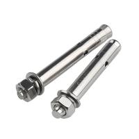 China Stainless Steel High Strength Heavy Duty Sleeve Anchor for sale