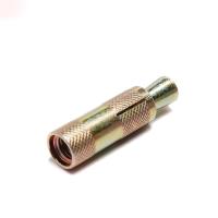 China M6X50 Heavy Duty Shield Wall Anchor Bolts Concrete Anchor Rawl Bolts for sale