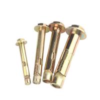 China 5/16IN Dia Zinc Internal Expansion Bolt M6-M48 Sleeve Anchor With Flange Nut for sale