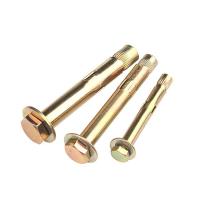 China 5/16IN Dia Zinc Internal Expansion Bolt M6-M48 Sleeve Anchor With Flange Nut for sale