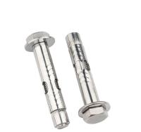 China Stainless steel Drop in expansion anchor hex bolts internal expansion bolt Sleeve Wedge Anchor Bolt for Wall for sale