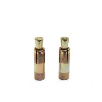 China External Force Special expansion screw bolts for rhinestone fixing Built-in ceiling broken gecko imp for sale