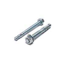 China Carbon Steel Wedge Anchor Bolt Stainless Steel Fastener Expansion Anchor Bolt Concrete Anchor Wedge for sale