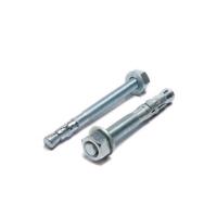 China Screw Type Expansion Anchor Bolts Expansion Screw Hex Concrete Wall Hardware Wedge Anchors Bolt for sale