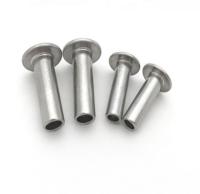 China Custom Pan Head Semi Hollow Stainless Steel Rivet For Helmet for sale