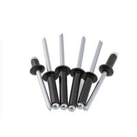 China Hardware Fasteners Aluminium Black Pop Rivet DIN Standard for sale