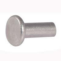 China SUS304 / SUS316 Stainless Steel Flat Round Head Rivets Solid for sale