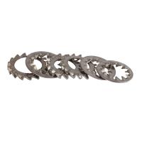 China Stainless Steel Circlip Star Self Lock Plain Metal Flat Washer Round Thin Spring 6mm M8 for sale