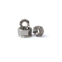 China 304 Stainless Steel K-nut American K Cap Multi-Tooth Flower Cap Nut Polished Finish for sale