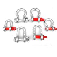 China U Type D Shackles for Heavy Lifting Galvanized Steel Forged Screw Pin Anchor Shackle for sale