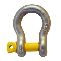 China U Type D Shackles for Heavy Lifting Galvanized Steel Forged Screw Pin Anchor Shackle for sale