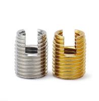 China Customized Type 302 Slotted Stainless Steel M2 M3 M4 M5 M6 M24 Thread Repair Insert Slotted Self Tapping Screw Sleeve Insert for sale