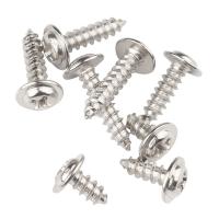 China Self Tapping Screws for Metal Custom M1.4 M2 M3 M4 M5 M6 Fasteners from High Grade 4.8/ 8.8/ 10.9/ 12.9 Ect for sale